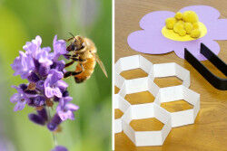 14 ways to teach your kids about the environment