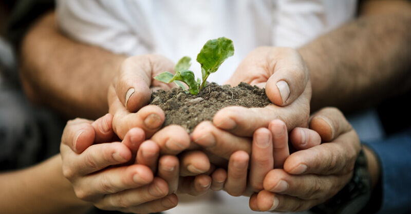 14 ways to teach your kids about the environment