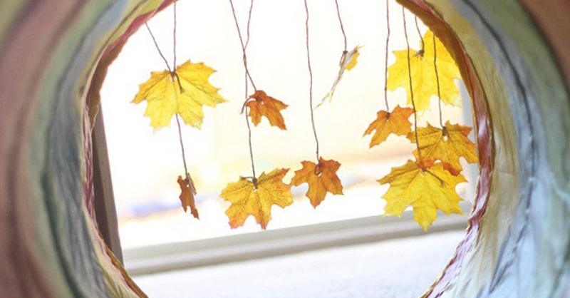 14 fun Autumn activities for kids | Mum's Grapevine