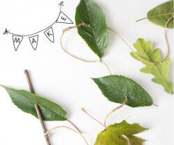 14 fun Autumn activities for kids | Mum's Grapevine