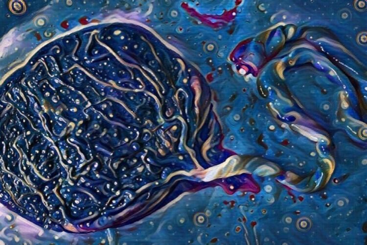 10 things to do with your placenta after giving birth | Mum's Grapevine