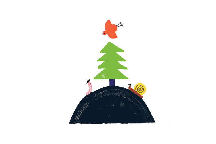 The Cave by Rob Hodgson children's book review | Mum's Grapevine