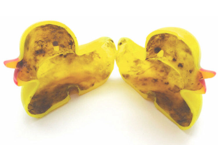 Scientists Reveal Hidden Dangers in Bath Toys