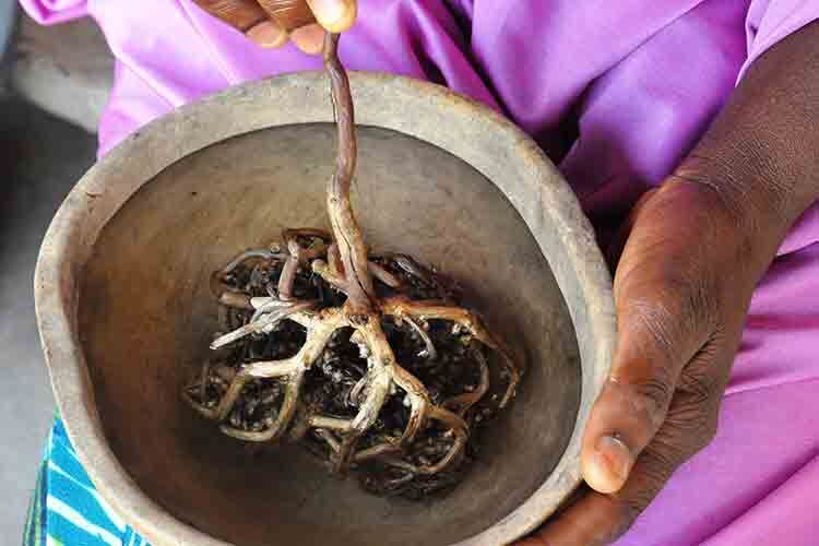 11 birth traditions from around the world | Mum's Grapevine