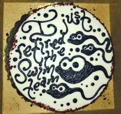 Ah, nuts: 11 vasectomy cakes to celebrate the snip