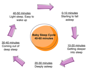 Baby Sleep Cycles Explained - Newborn To 12 Months